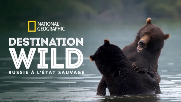 Regarder Destination Wild : Inde à l'état sauvage | Épisodes complets ...