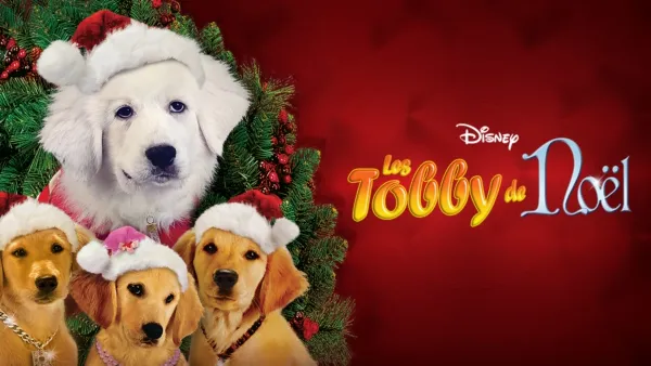 Regarder Huit en dessous | Épisodes complets | Disney+