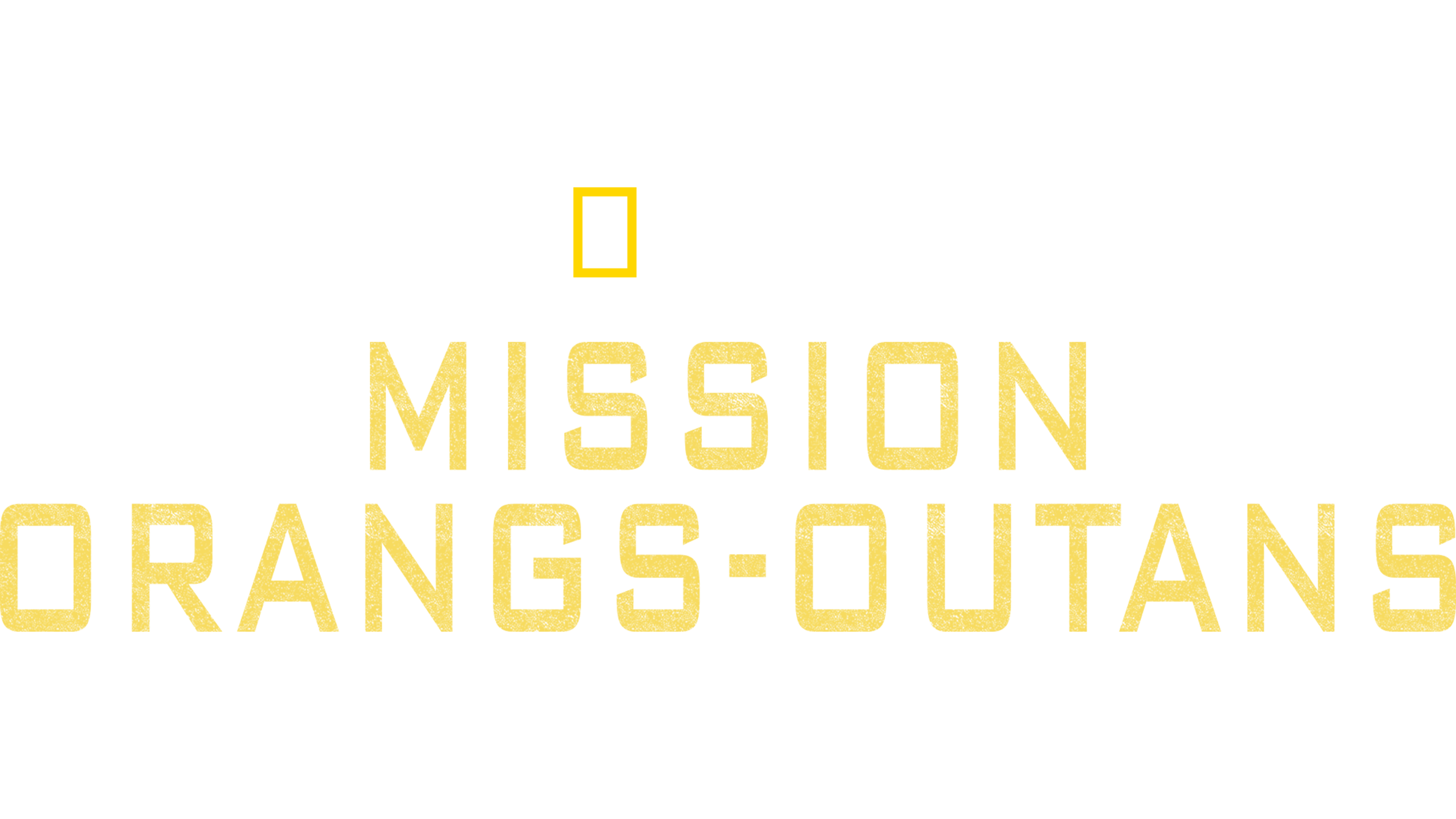 Regarder Mission orangs-outans | Épisodes complets | Disney+