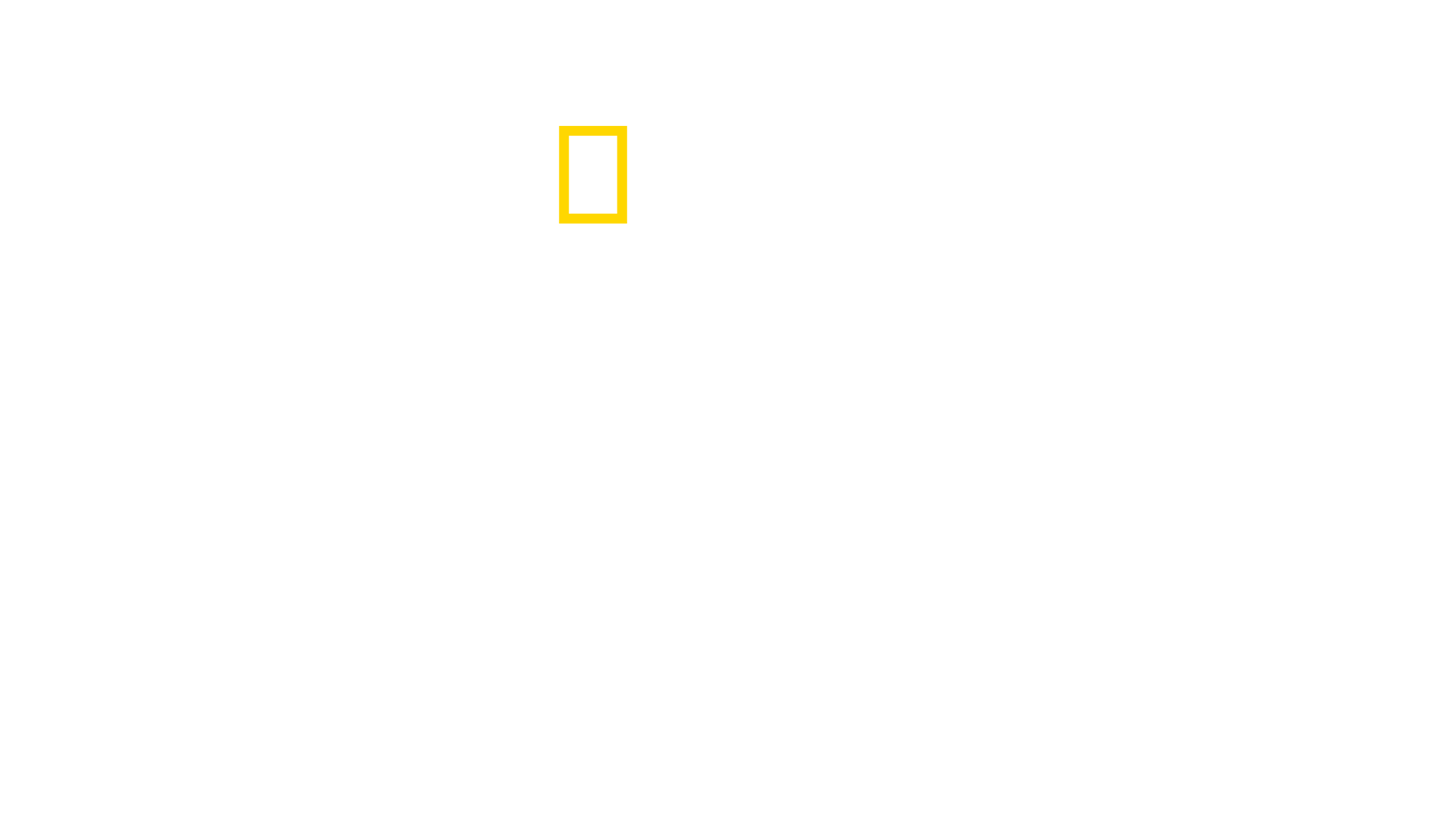 Ver los episodios completos de Mayday: catástrofes aéreas | Disney+