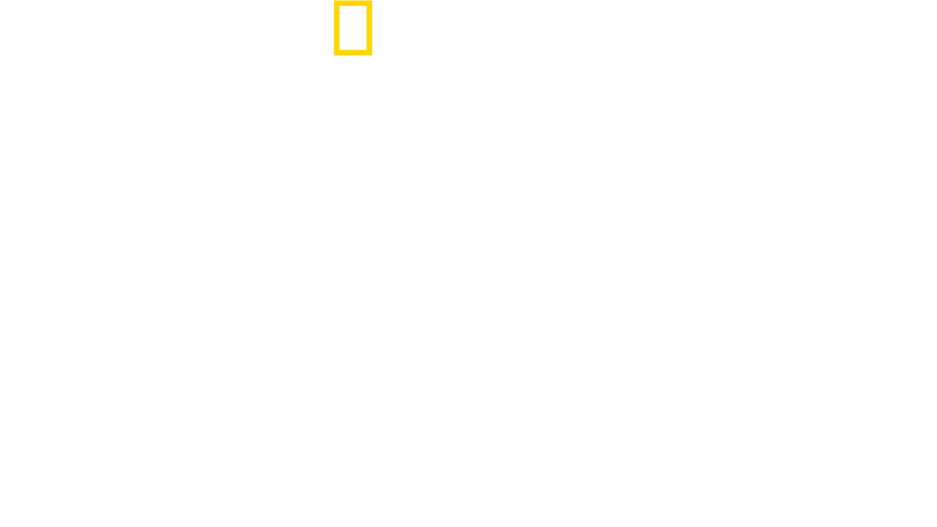 Regarder Made in a Day | Épisodes complets | Disney+