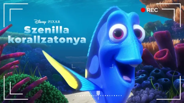 Szenilla nyomában megtekintése | Disney+