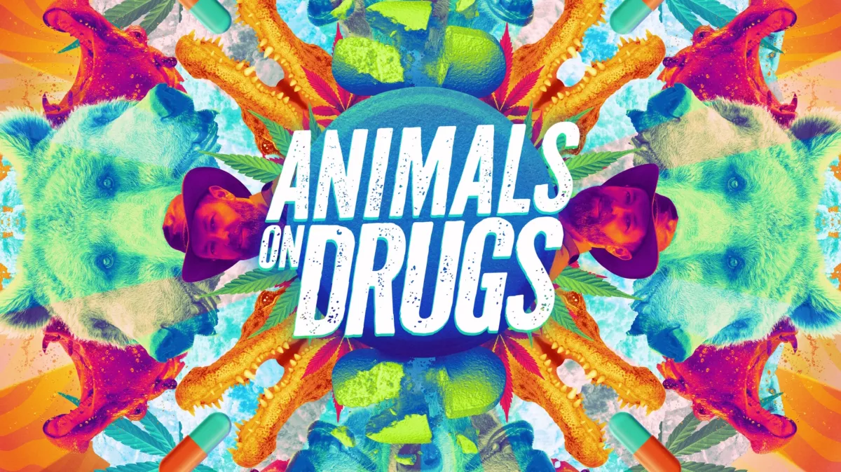 Animals on Drugs | Watch Full Episodes | Disney+
