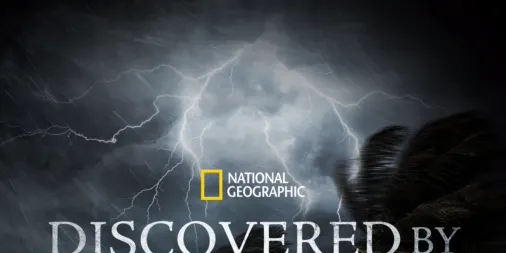 Watch Discovered By Disaster | Full Episodes | Disney+