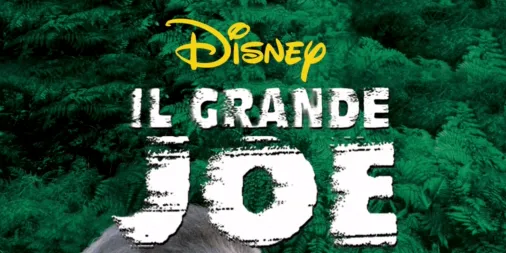 Guarda Il Grande Joe | Disney+