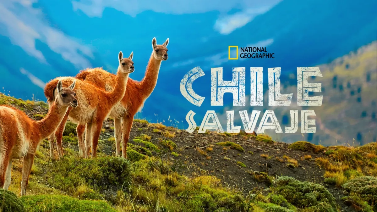 Ver Chile Salvaje | Disney+