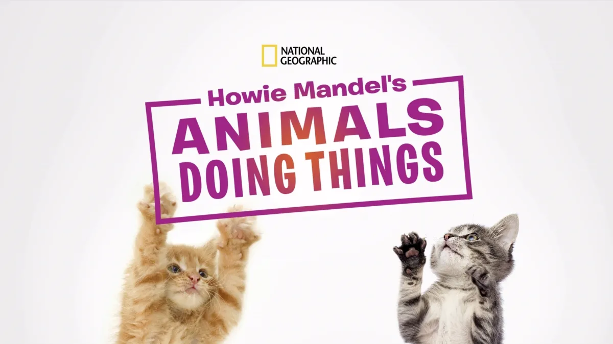 Watch Howie Mandel's Animals Doing Things | Full Episodes | Disney+