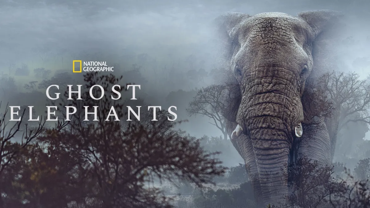 Titta på Ghost Elephants | Disney+