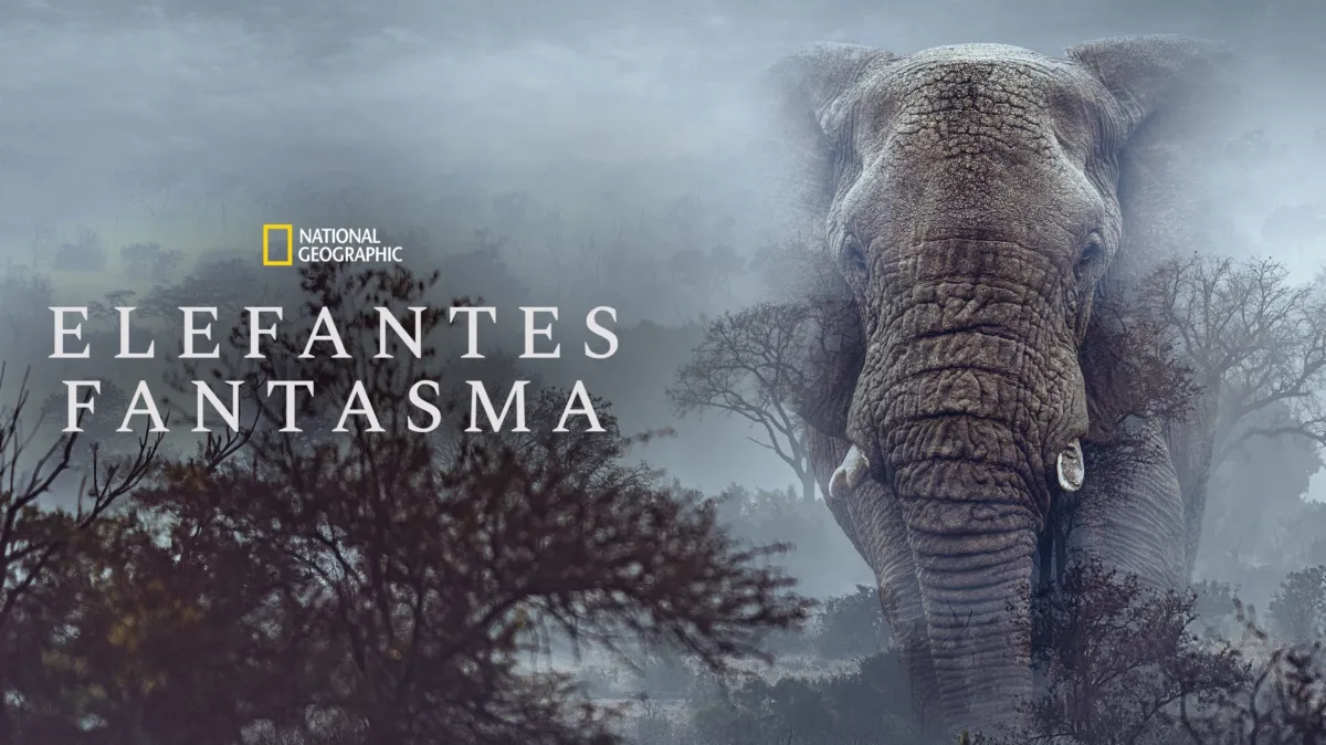Ver Elefantes fantasma | Disney+