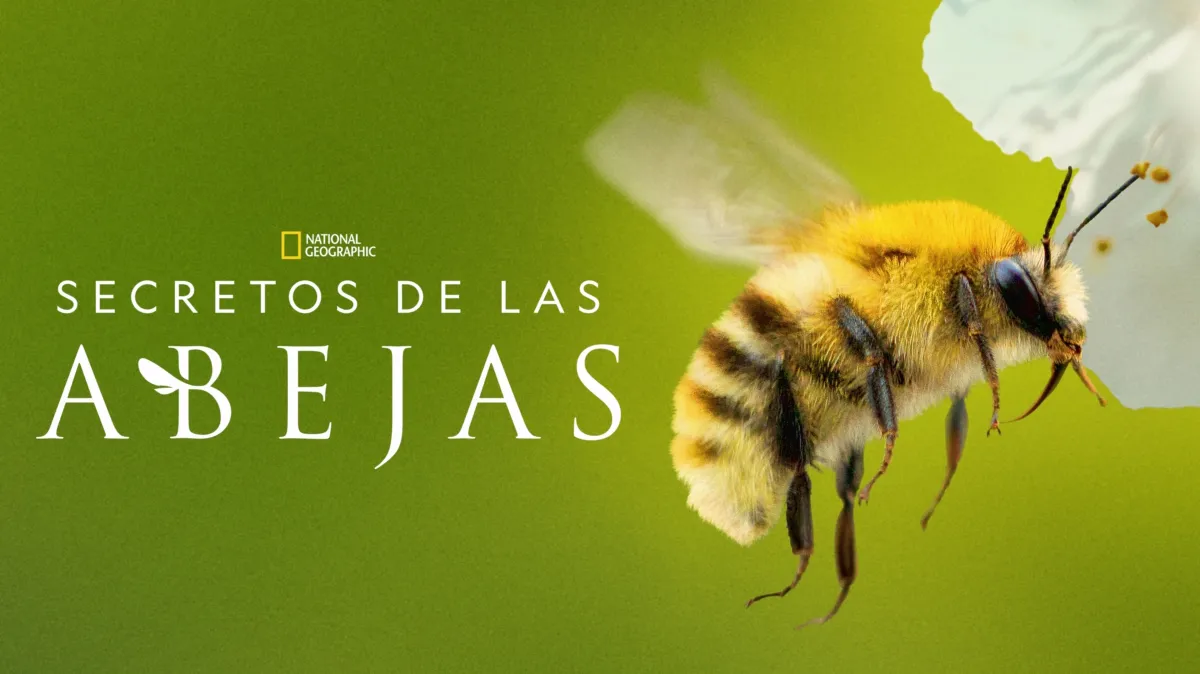 Ver Secretos de las abejas | Disney+