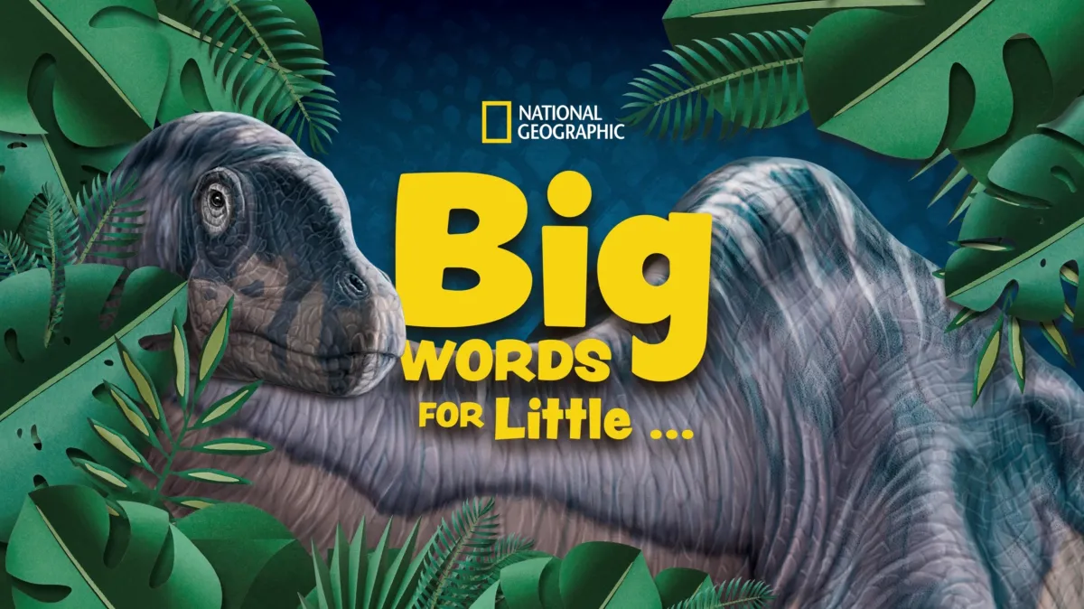 Watch Big Words for Little... | Full episodes | Disney+