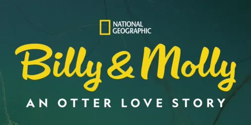 Watch Billy & Molly: An Otter Love Story | Disney+ Australia
