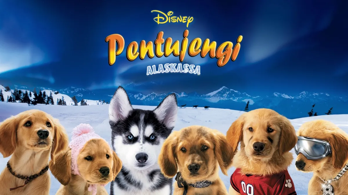 Katso Snow Buddies - Pentujengi Alaskassa Koko jaksot | Disney+