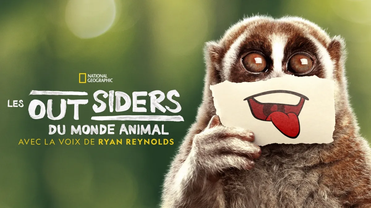 Regarder Les outsiders du monde animal | Épisodes complets | Disney+