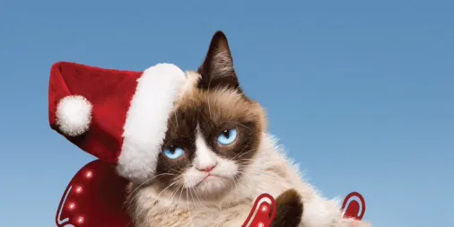 Watch Grumpy Cat's Worst Christmas Ever | Disney+