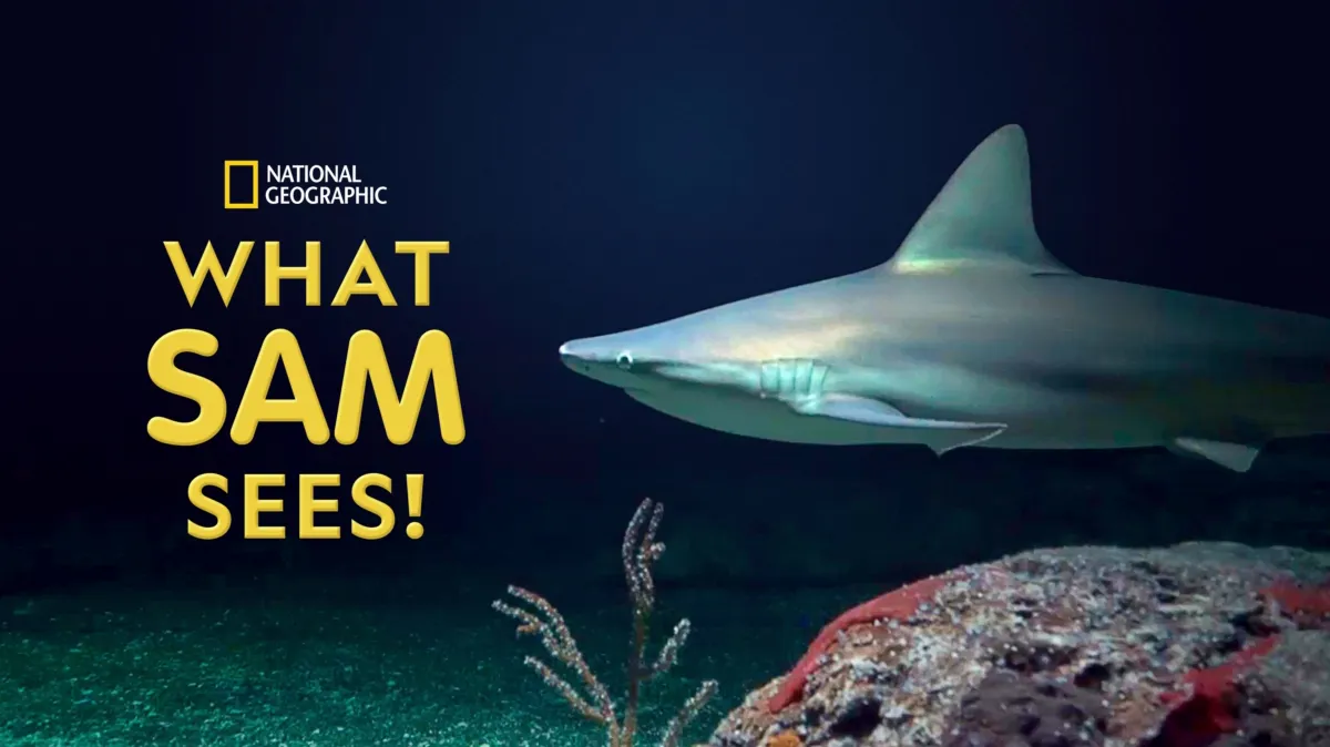 Watch What Sam Sees | Disney+