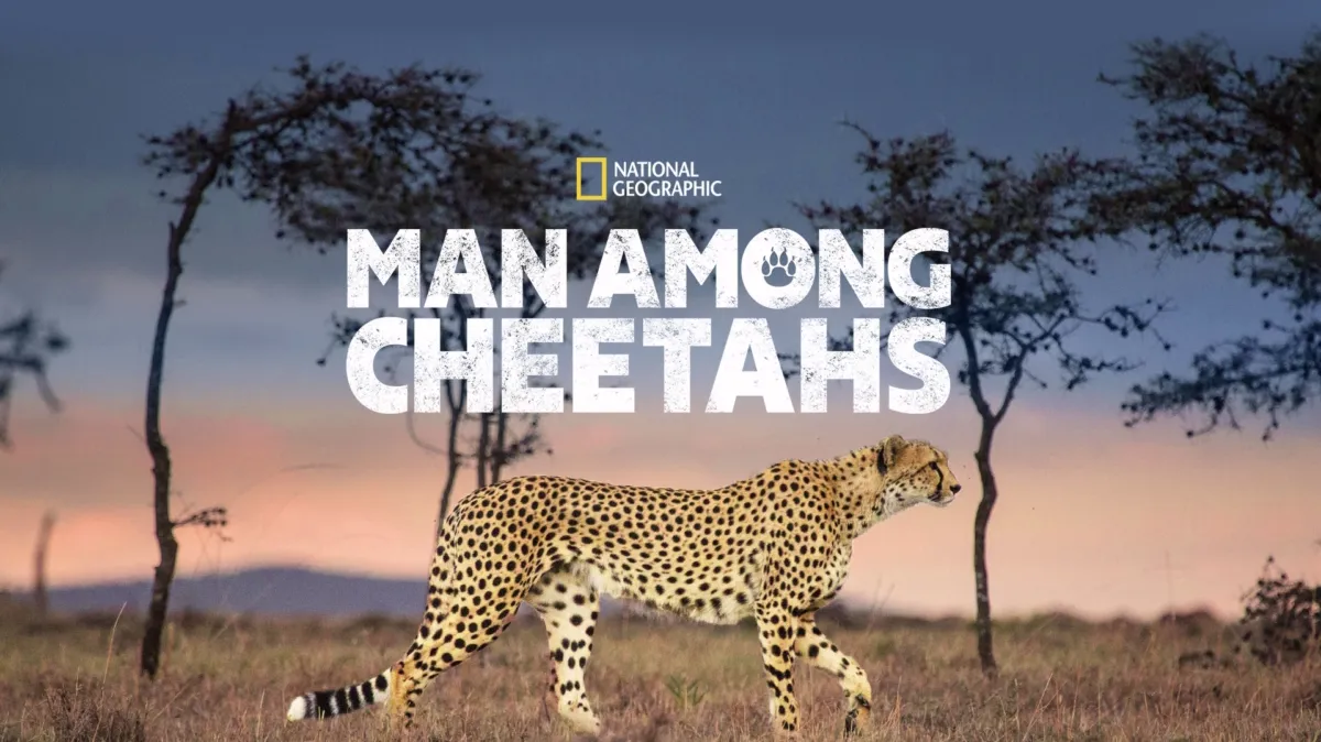 Watch Man Among Cheetahs | Disney+