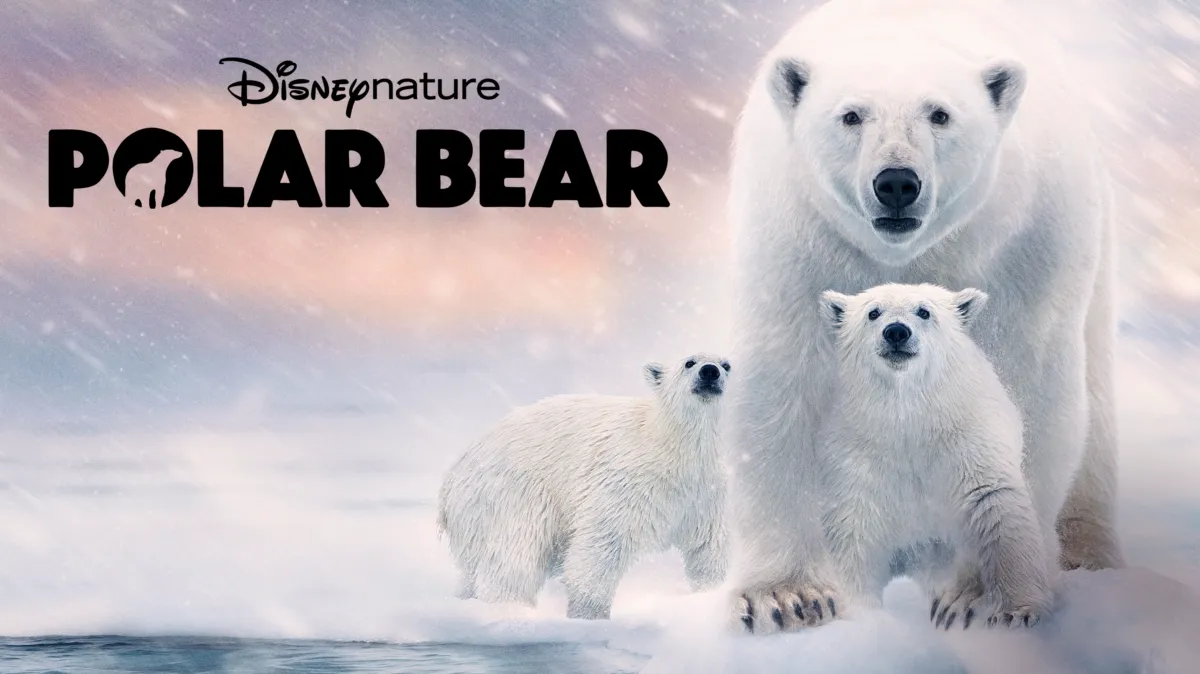 Watch Polar Bear | Disney+