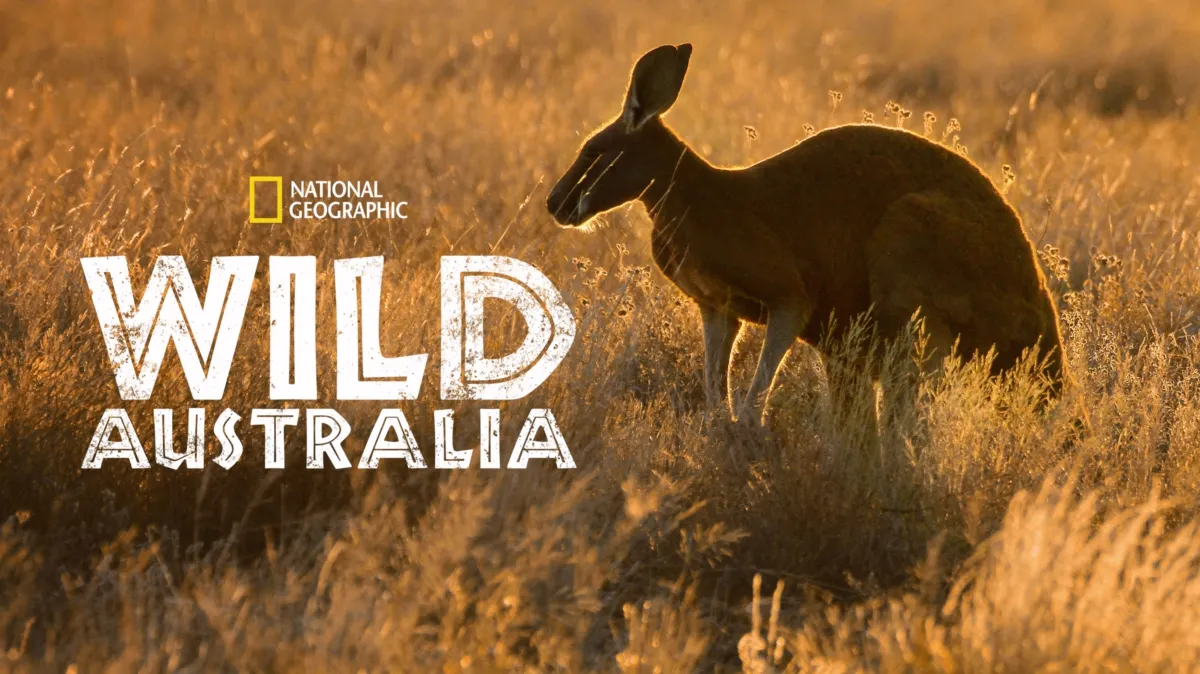 Watch Wild Australia | Disney+