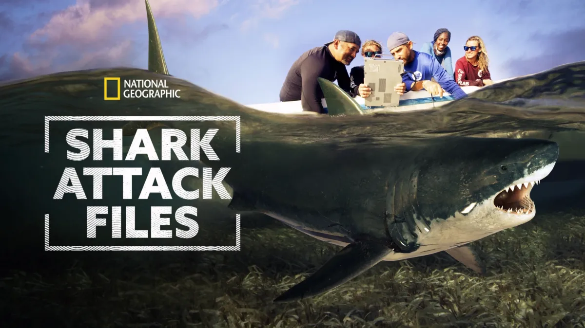 Watch Shark Attack Files | Full episodes | Disney+