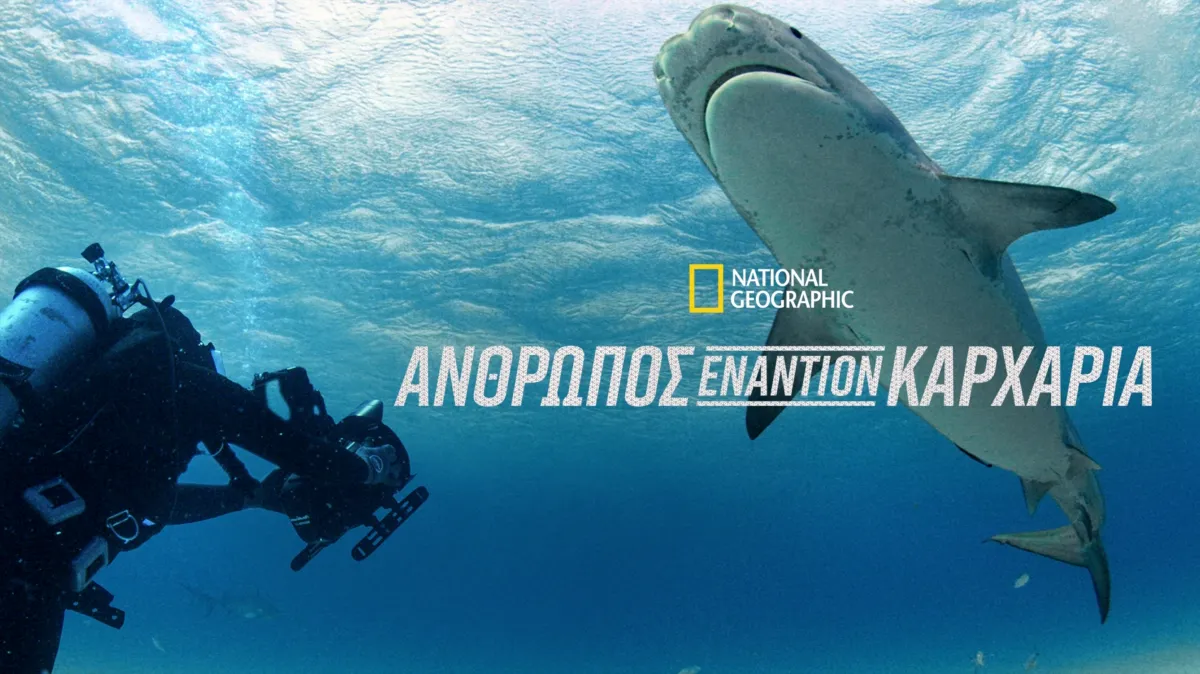 Δείτε το «Άνθρωπος εναντίον Καρχαρία» | Disney+