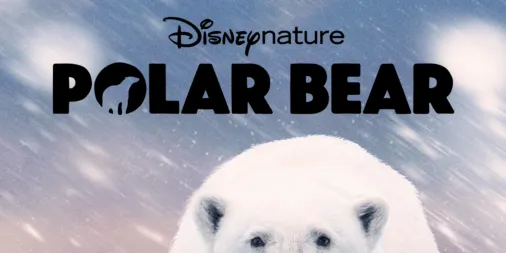 Watch Polar Bear | Disney+