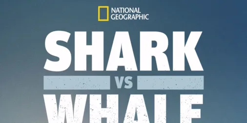 Titta på Shark Vs Whale | Disney+