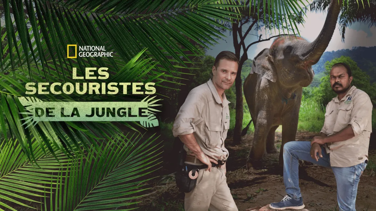Regarder Jungle Animal Rescue | Épisodes complets | Disney+