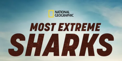 Watch Most Extreme Sharks | Full Episodes | Disney+