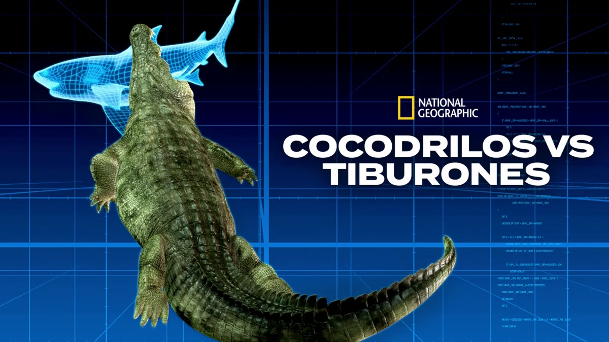 Ver Tiburón vs. cocodrilo | Disney+