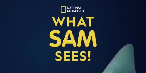 Watch What Sam Sees | Disney+
