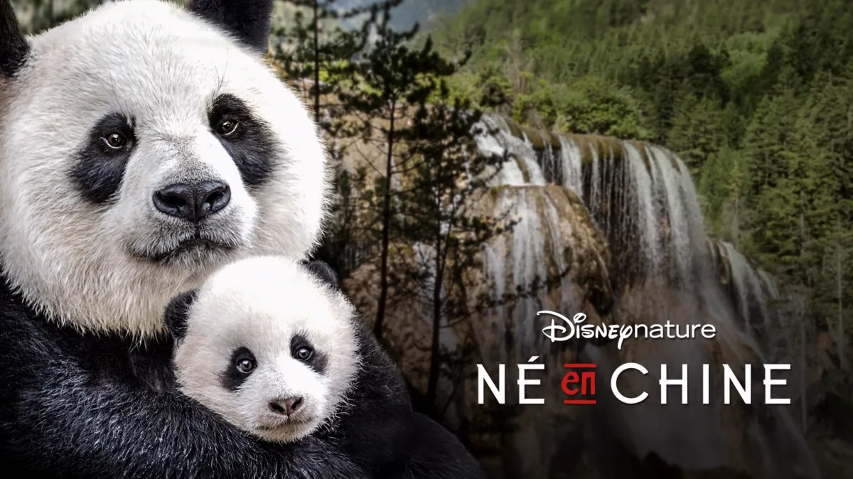 Regardez Né en Chine | Disney+