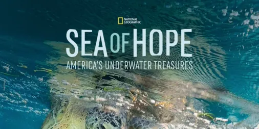 Watch Sea of Hope: America's Underwater Treasures | Disney+