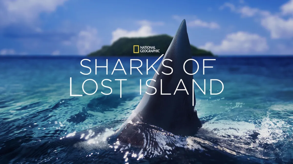 Watch Sharks of Lost Island | Full episodes | Disney+