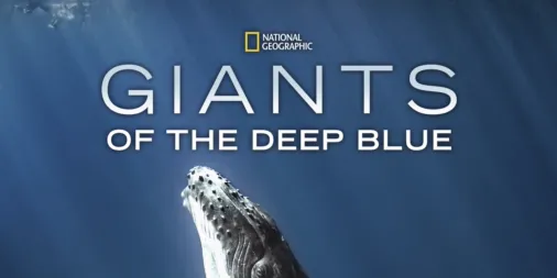 Watch Giants of the Deep Blue | Disney+