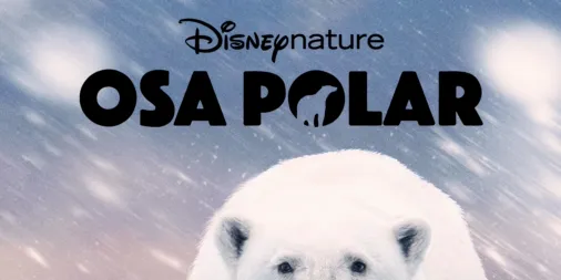 Ver Osa polar | Disney+