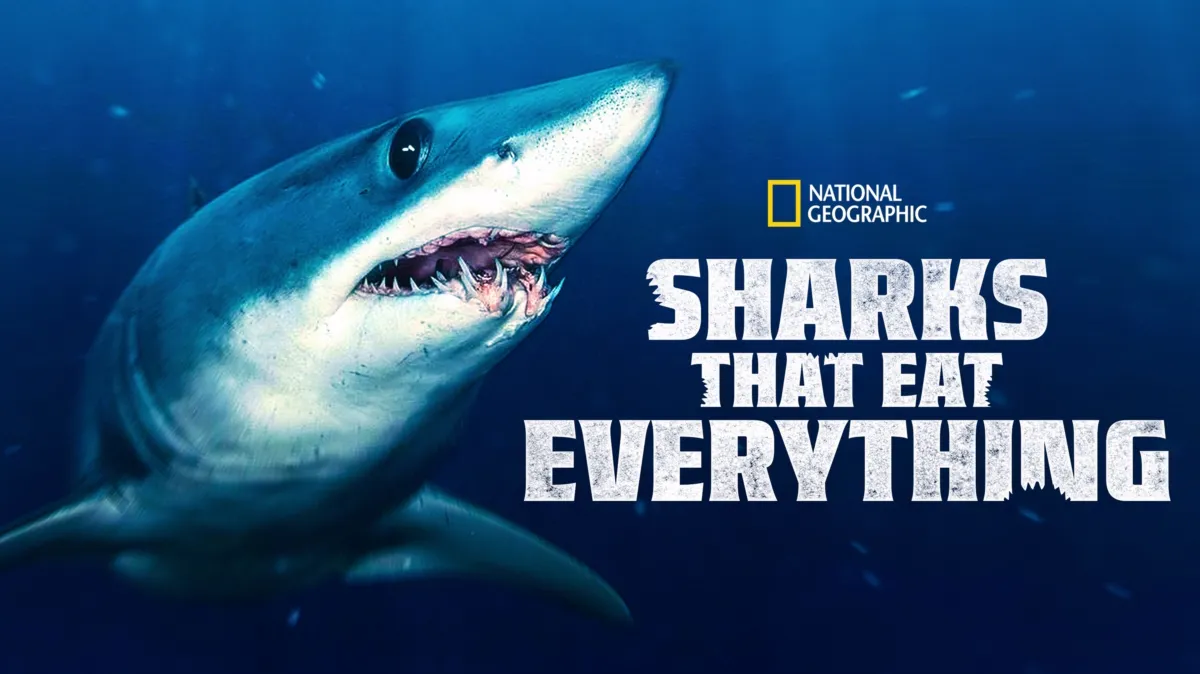 Watch Sharks That Eat Everything | Disney+
