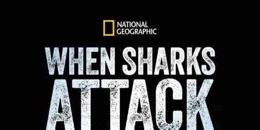 Watch When Sharks Attack... And Why | Full Episodes | Disney+
