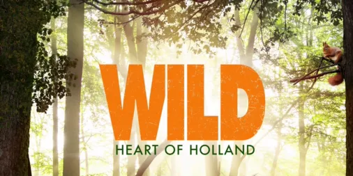 Watch Wild | Full episodes | Disney+