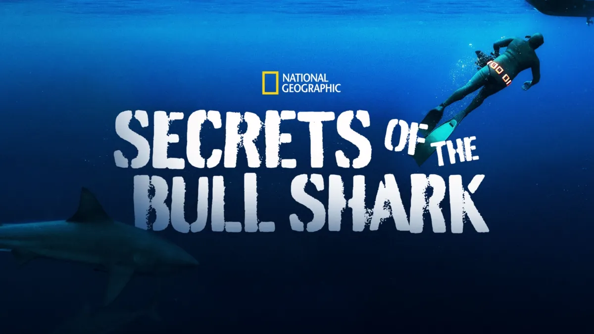 Watch Secrets of the Bull Shark | Disney+