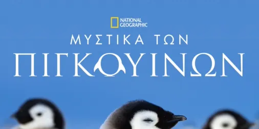 Δείτε το «Μυστικά των Πιγκουίνων» | Disney+