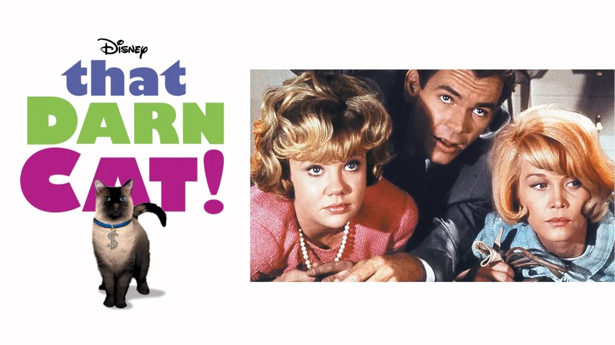 Watch That Darn Cat! | Full episodes | Disney+