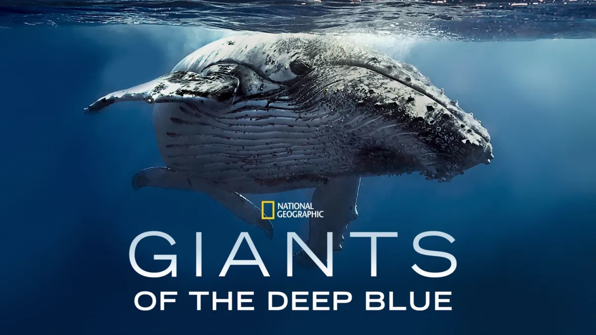 Watch Giants of the Deep Blue | Disney+