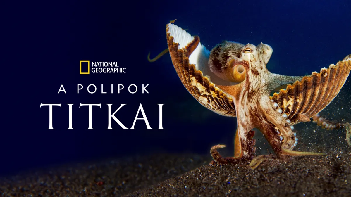 A polipok titkai megtekintése | Disney+
