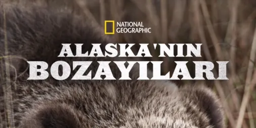 Alaska'nın Bozayıları İzleyin | Disney+