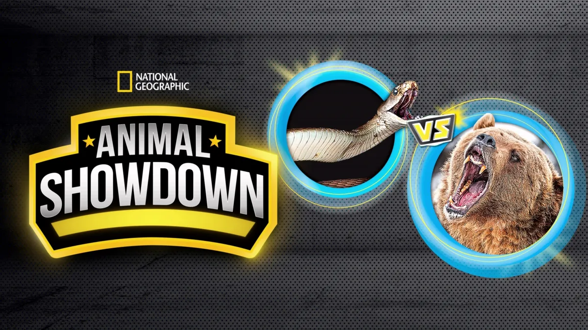 Watch Animal Showdown | Full Episodes | Disney+