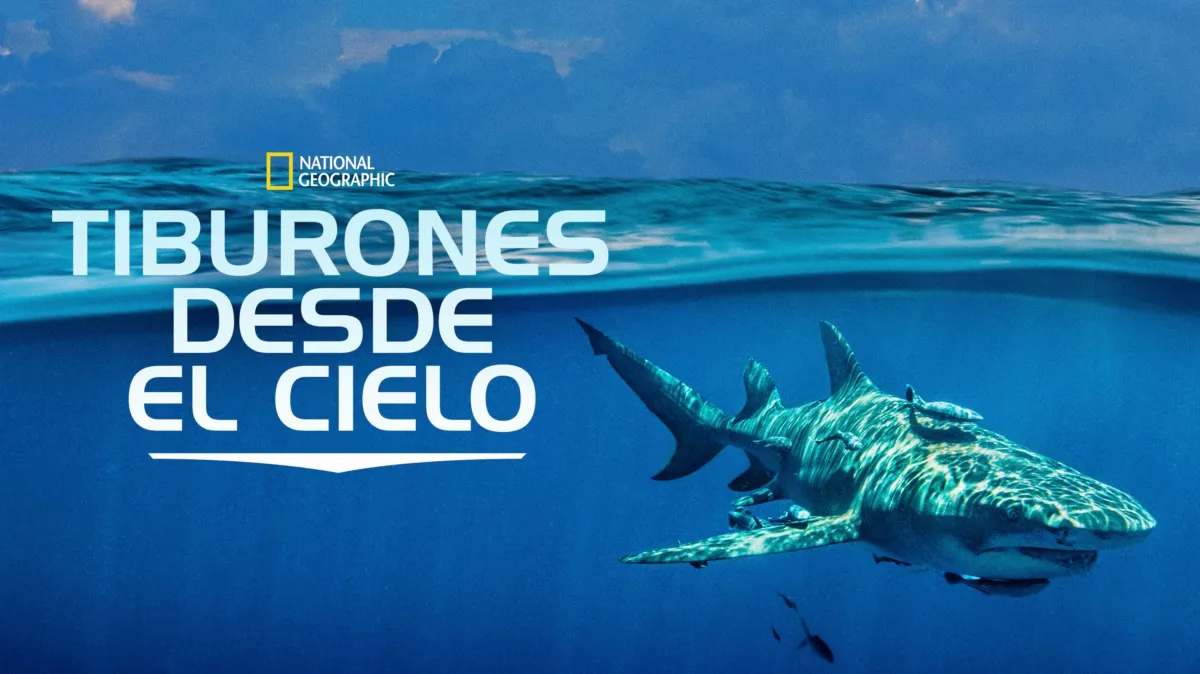 Ver Tiburones desde el Cielo | Disney+