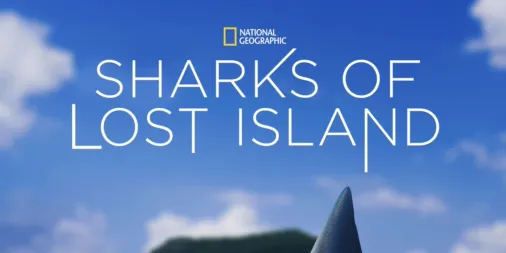 Watch Sharks of Lost Island | Full episodes | Disney+