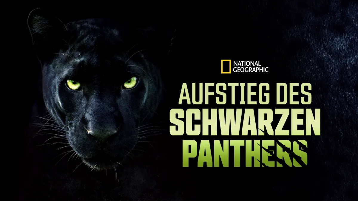 Aufstieg des schwarzen Panthers ansehen | Disney+