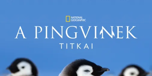 A pingvinek titkai megtekintése | Disney+